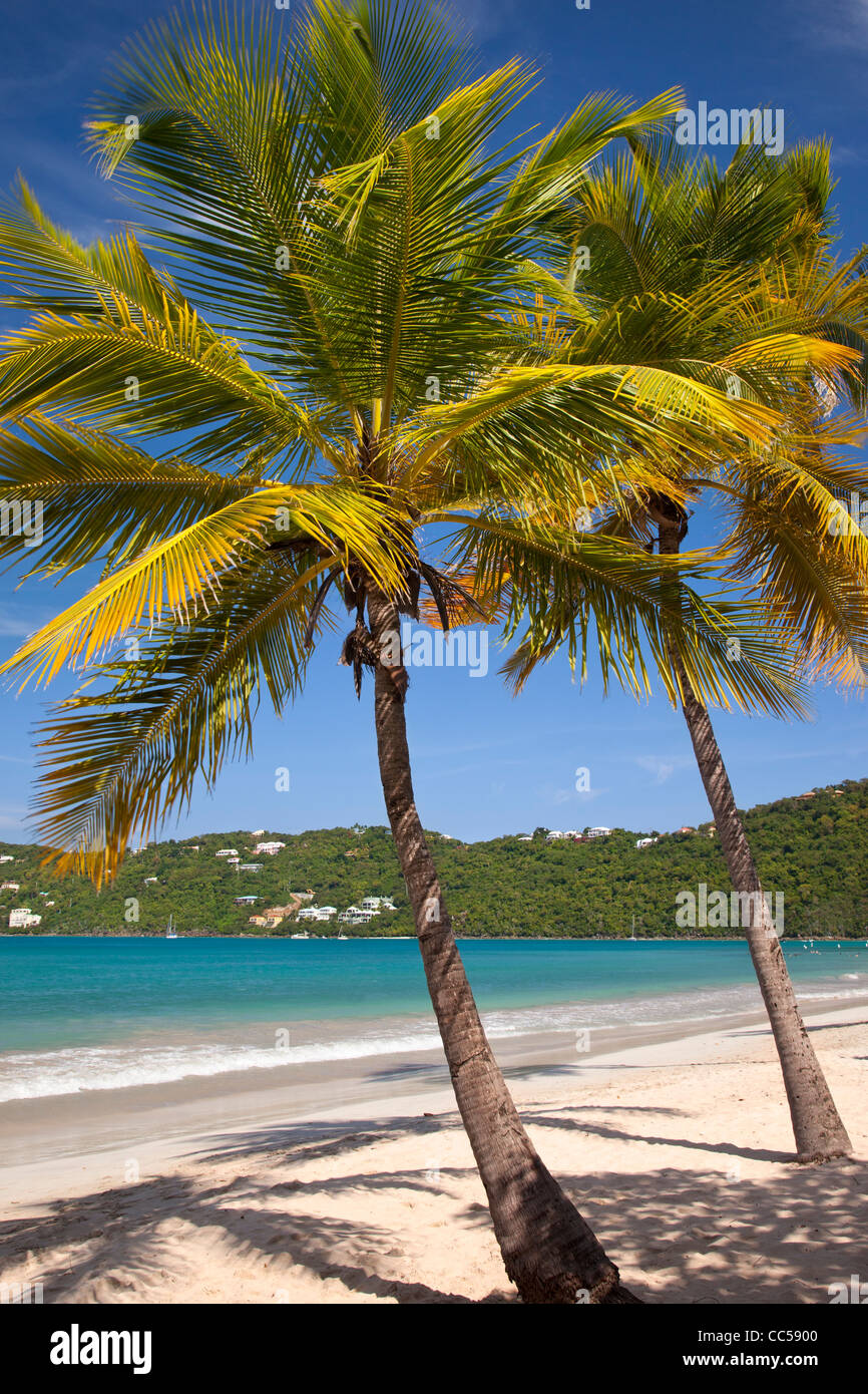 Megans bay beach st thomas us virgin islands hi-res stock photography ...