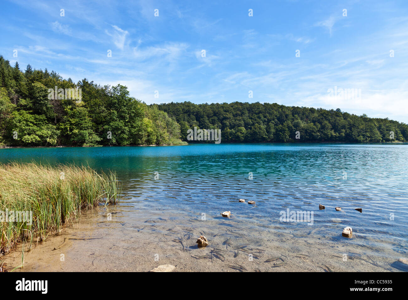 Beautiful Clean Lake Stock Photo - Alamy