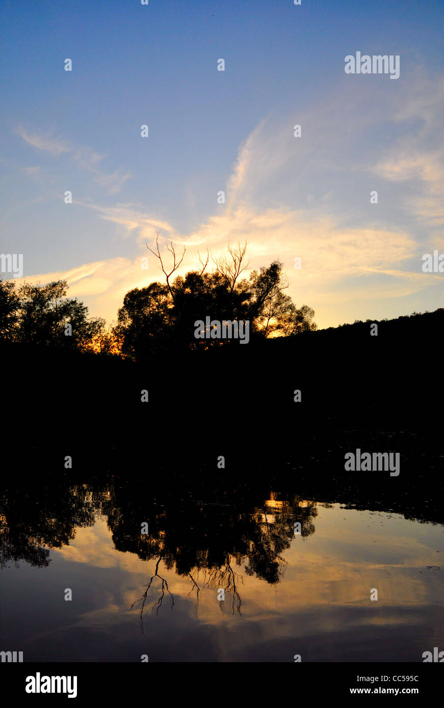 Sunset over trees Stock Photo - Alamy