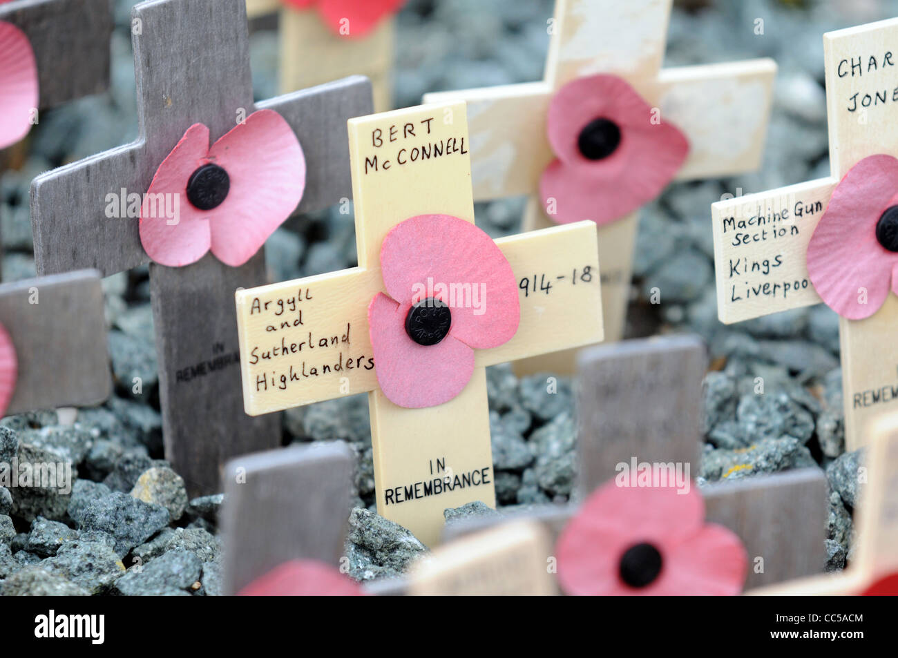 Remembrance crosses hi-res stock photography and images - Alamy