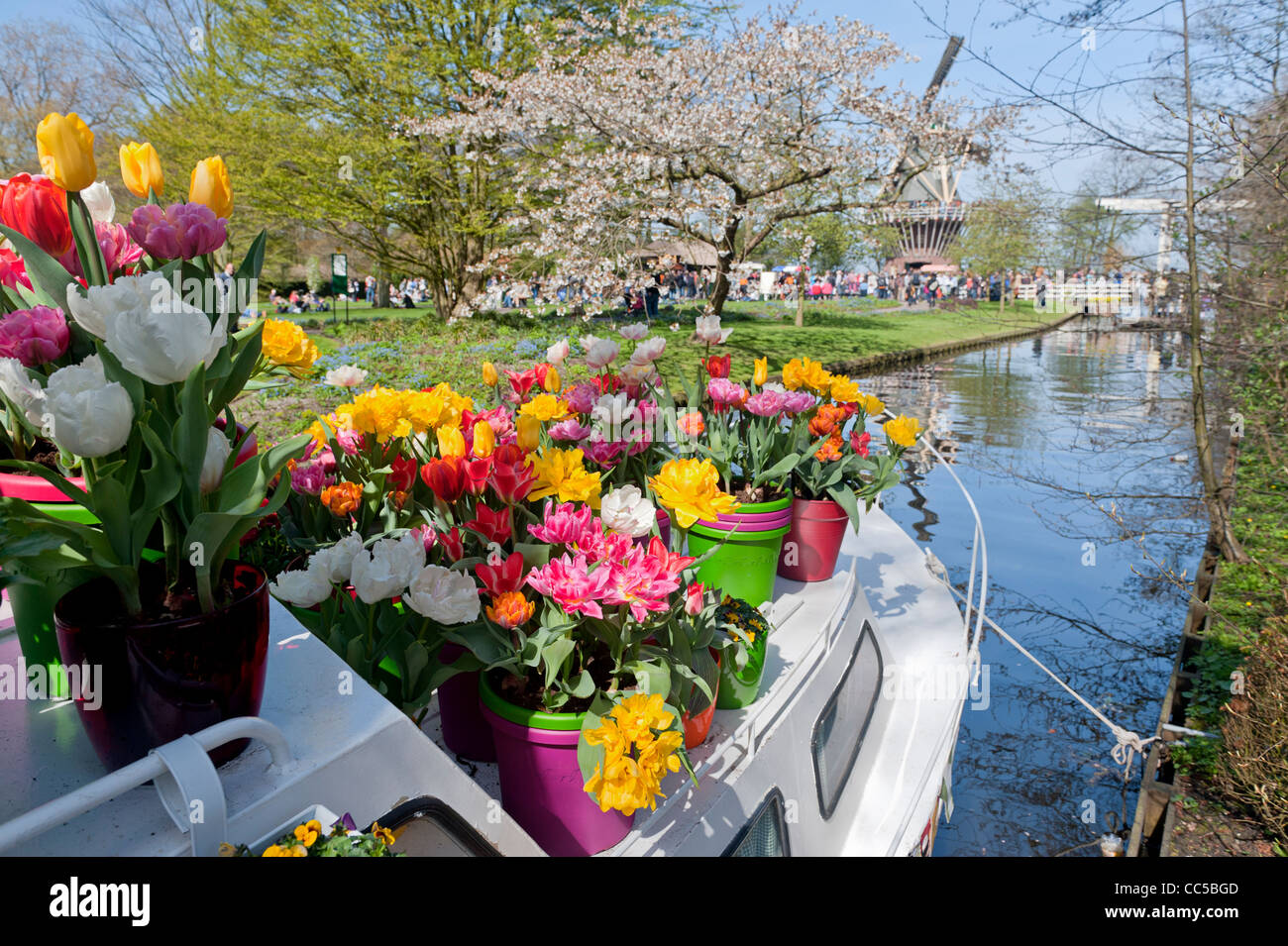 Flower pots on boat at Keukenhof Gardens, Netherlands Stock Photo - Alamy