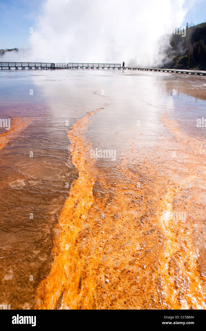 Bacteria section hi-res stock photography and images - Alamy