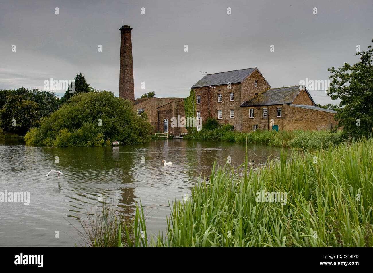 Tonge hi-res stock photography and images - Alamy