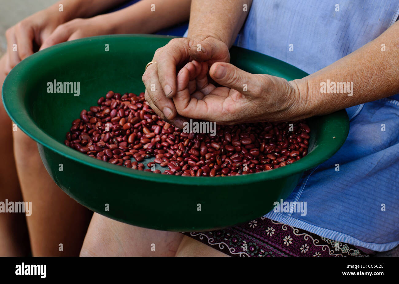 Woman cleaning beans latin america hi-res stock photography and images ...