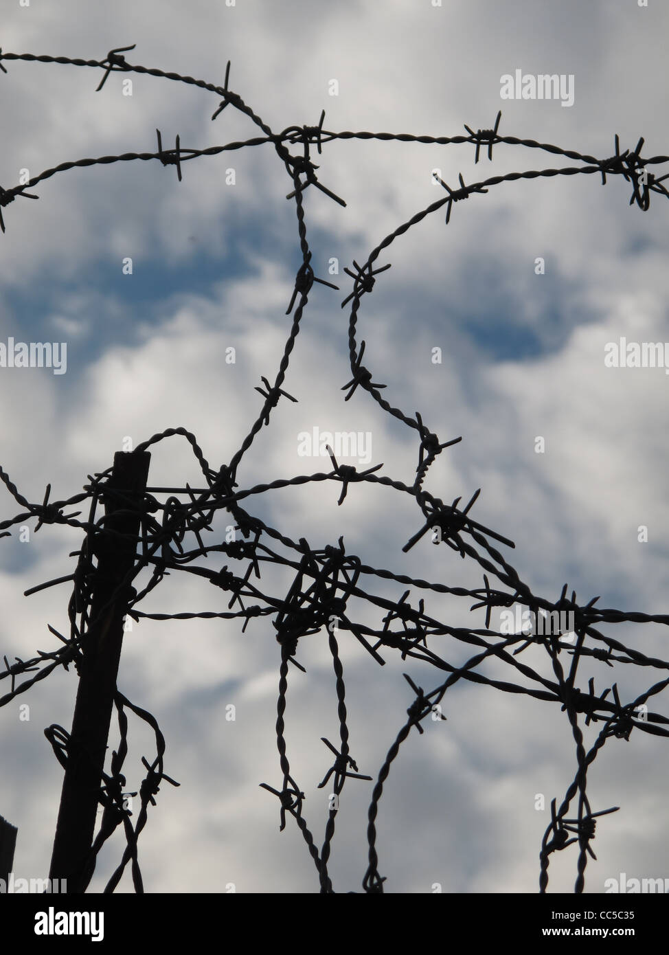 Tangled barbed wire fence against hi-res stock photography and images ...
