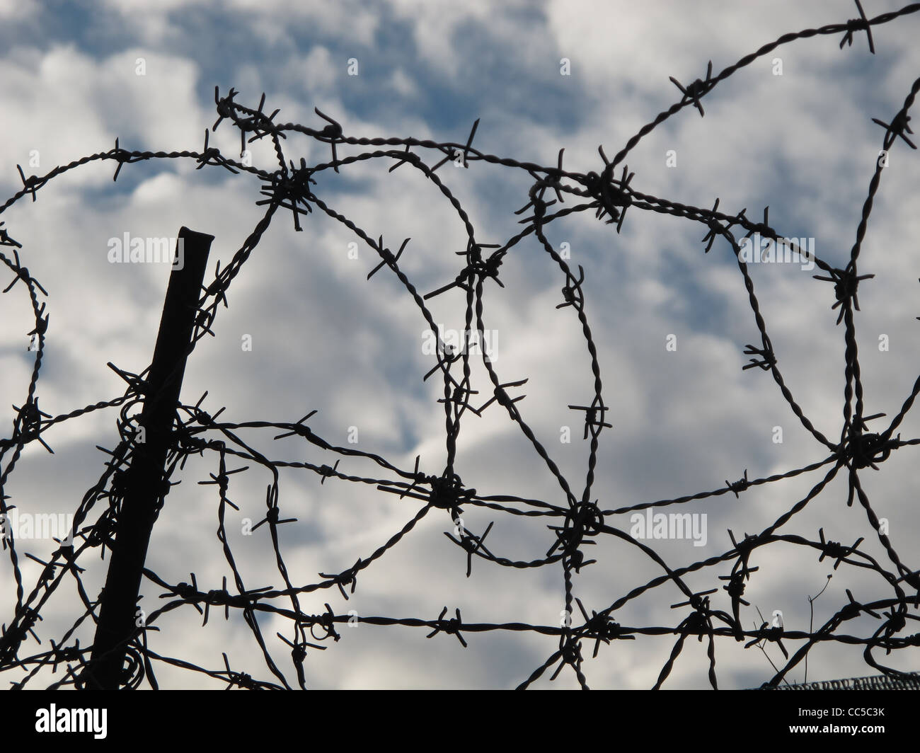 tangled spiral barbed wire fence against clouds sky in sun Stock Photo ...
