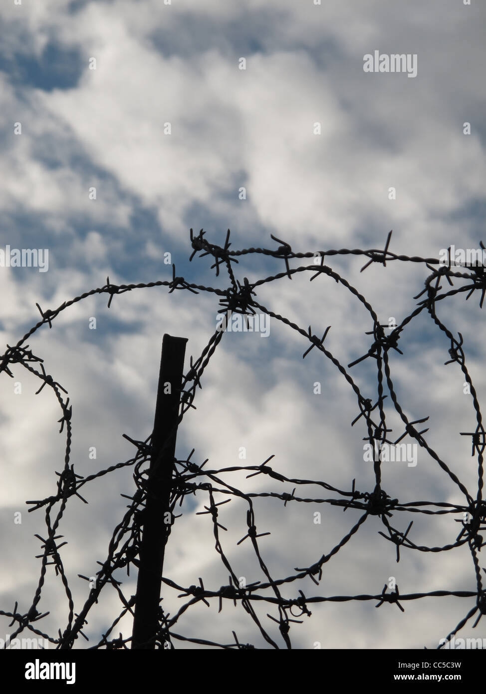tangled spiral barbed wire fence against clouds sky in sun Stock Photo ...