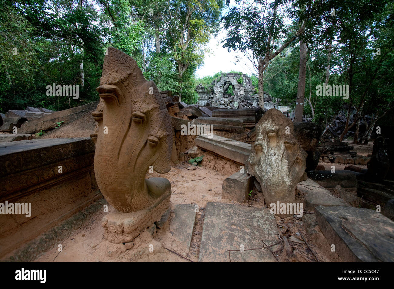 Beng Mealea, temple in the Angkor area, Siem Reap, Cambodia, Asia Stock ...