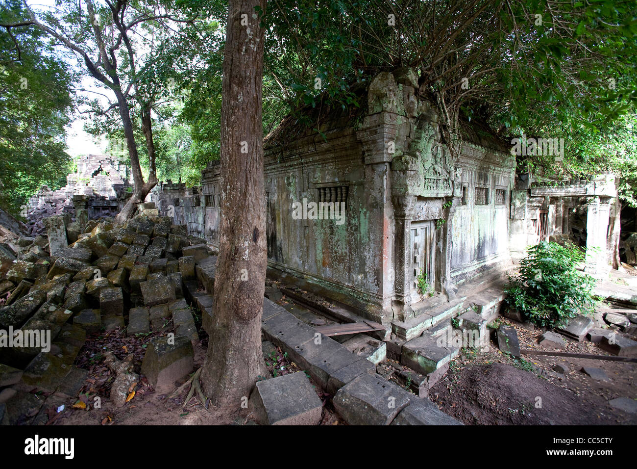 Beng Mealea, temple in the Angkor area, Siem Reap, Cambodia, Asia Stock ...