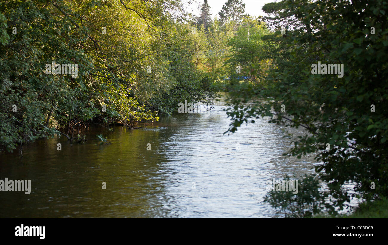 Grayling michigan river hi-res stock photography and images - Alamy
