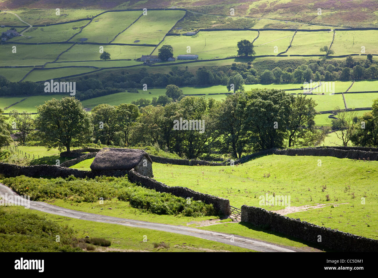 View of Swaledale above the village of Healaugh with a newly restored ...