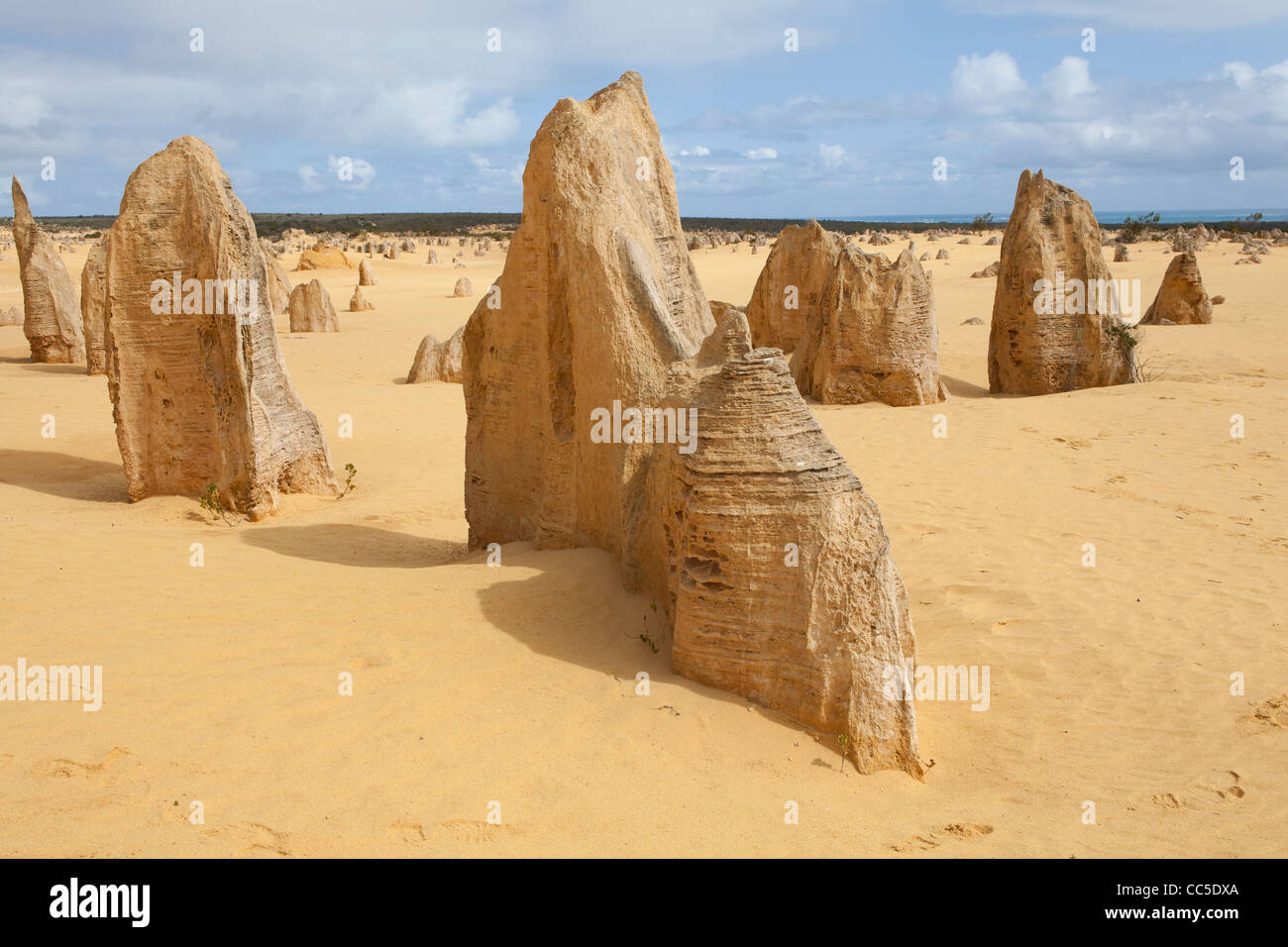 The Pinnacles Desert on the 'Indian Ocean Drive', Western Australia ...
