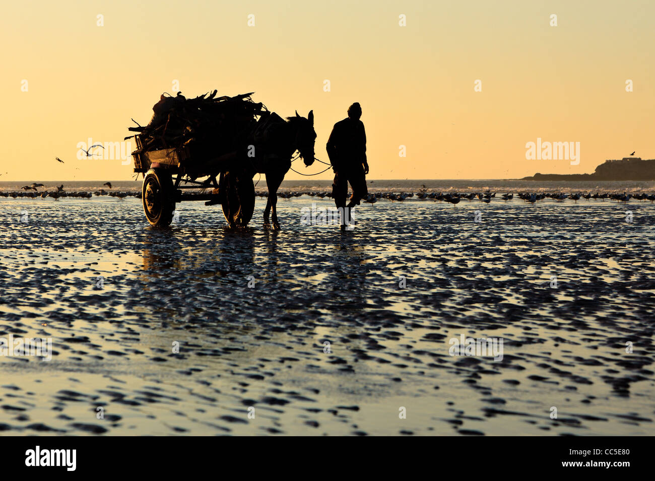 Cart on the beach hi-res stock photography and images - Alamy