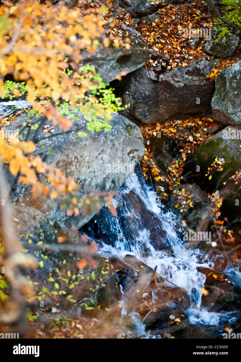 China beijing spring hi-res stock photography and images - Alamy