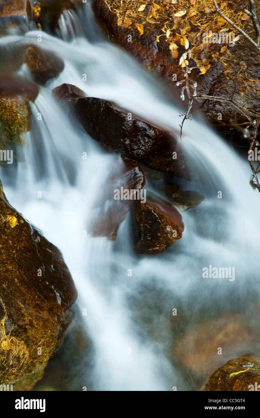 China spring detail hi-res stock photography and images - Alamy