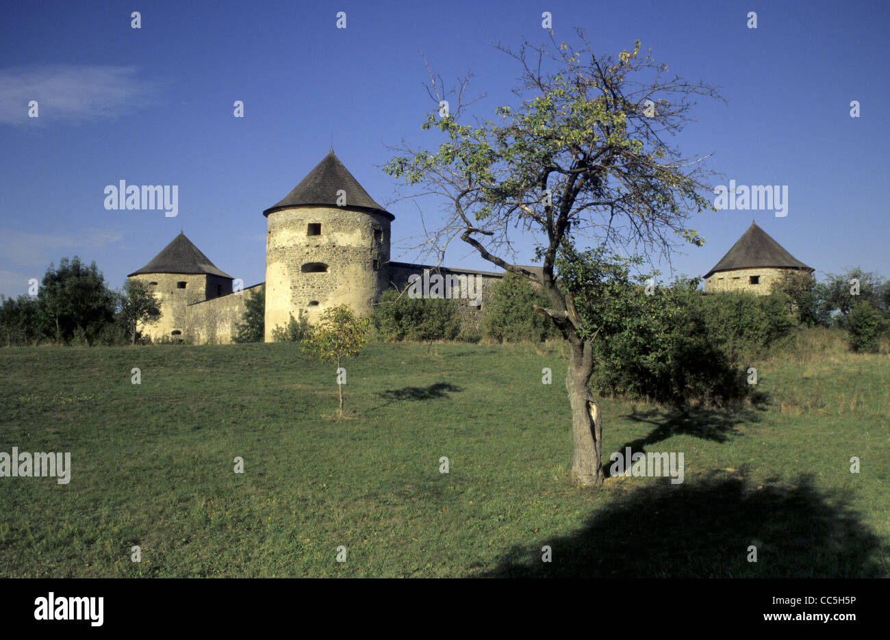 Ruins of medieval castle (fortified abbey) Bzovik, Krupinska planina ...