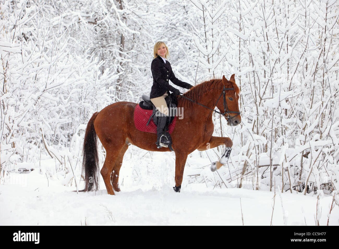 Blond 22-year's girl dressage her horse in a snow landscape,focus on ...