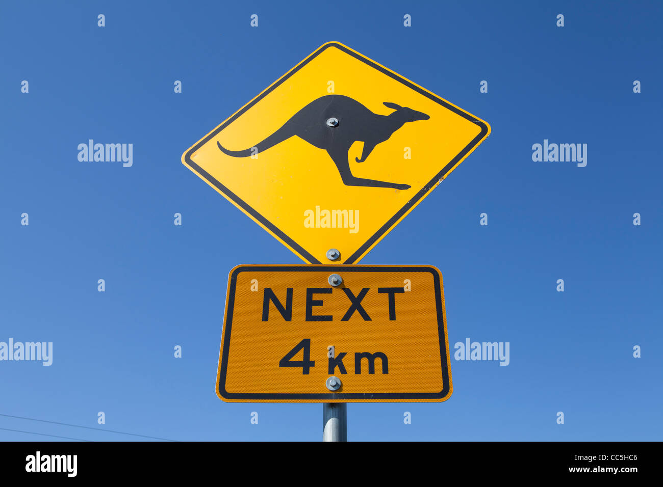 Australian Kangaroo Signpost High Resolution Stock Photography and ...