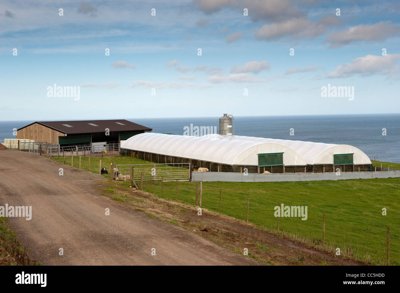 Modern farm on Scottish Coast, with polytunnel sheep buildings and ...