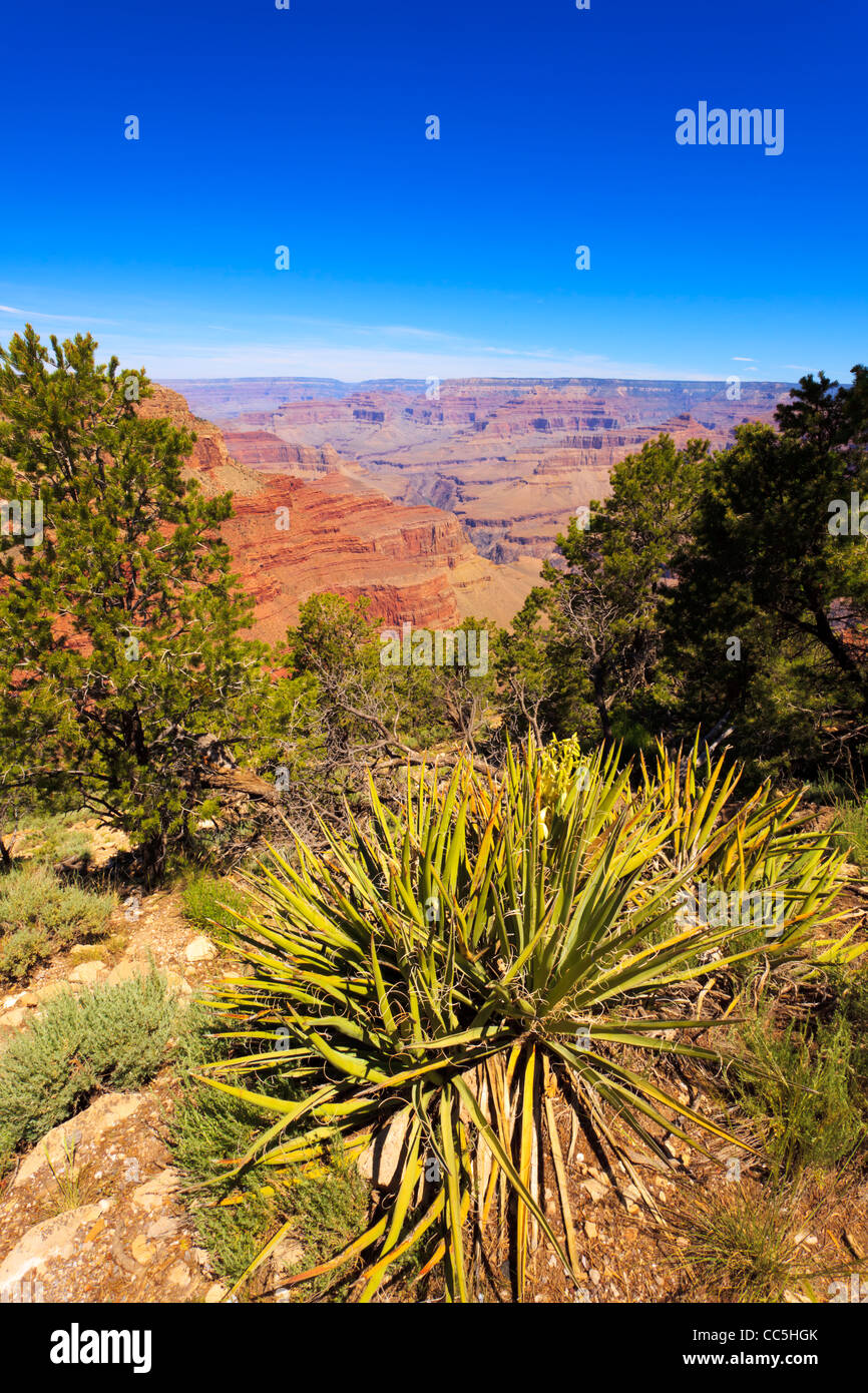 Grand Canyon South Rim Hermits Rest Grand Canyon National Park Arizona ...