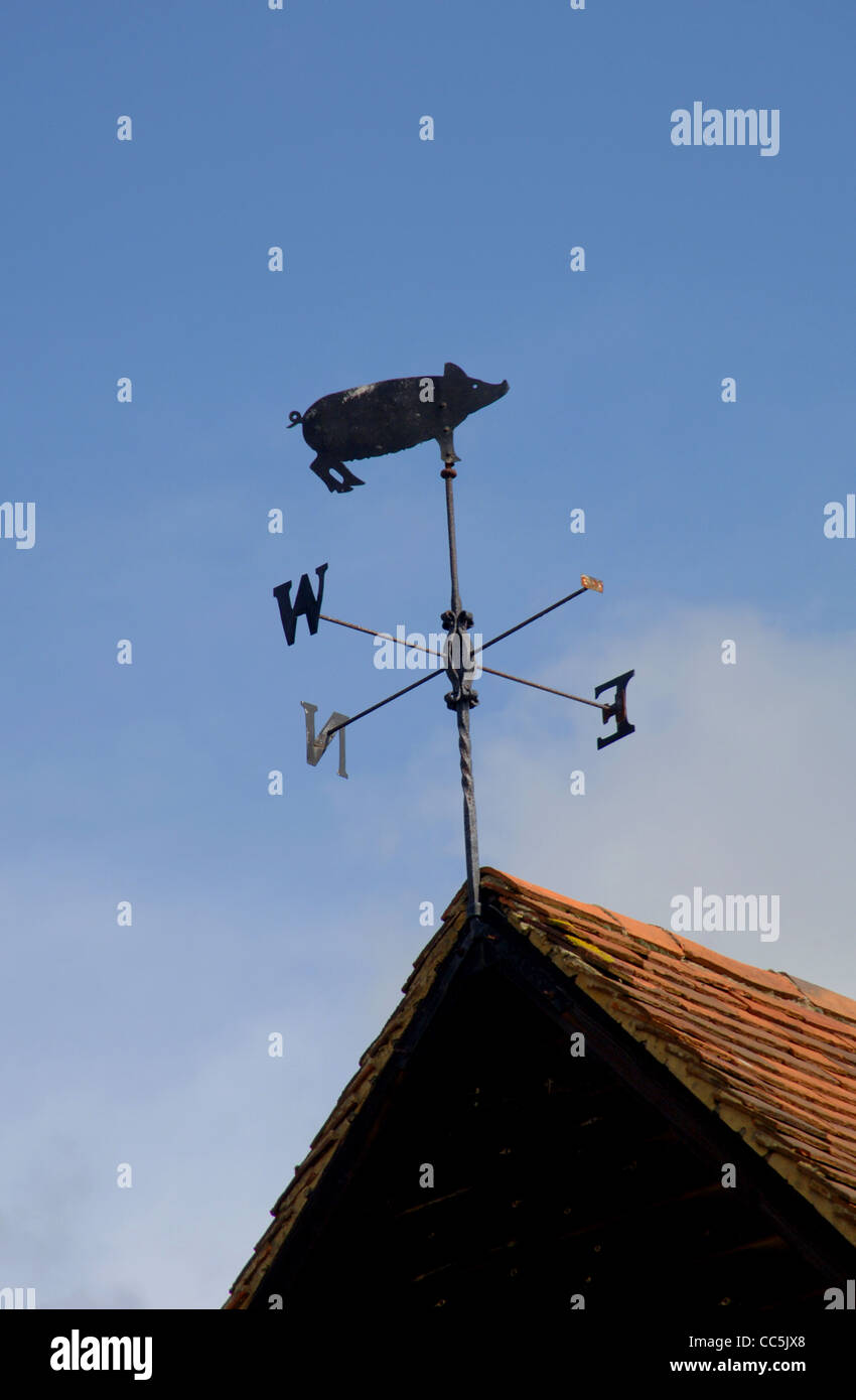 Weather vane weathervane which direction north south east west hi-res ...