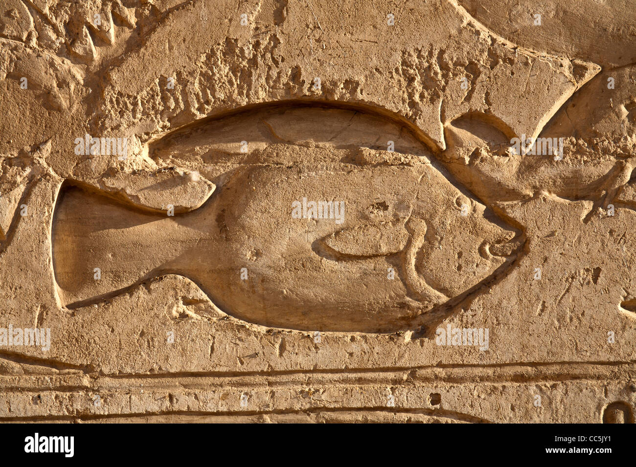 Nile perch hi-res stock photography and images - Alamy