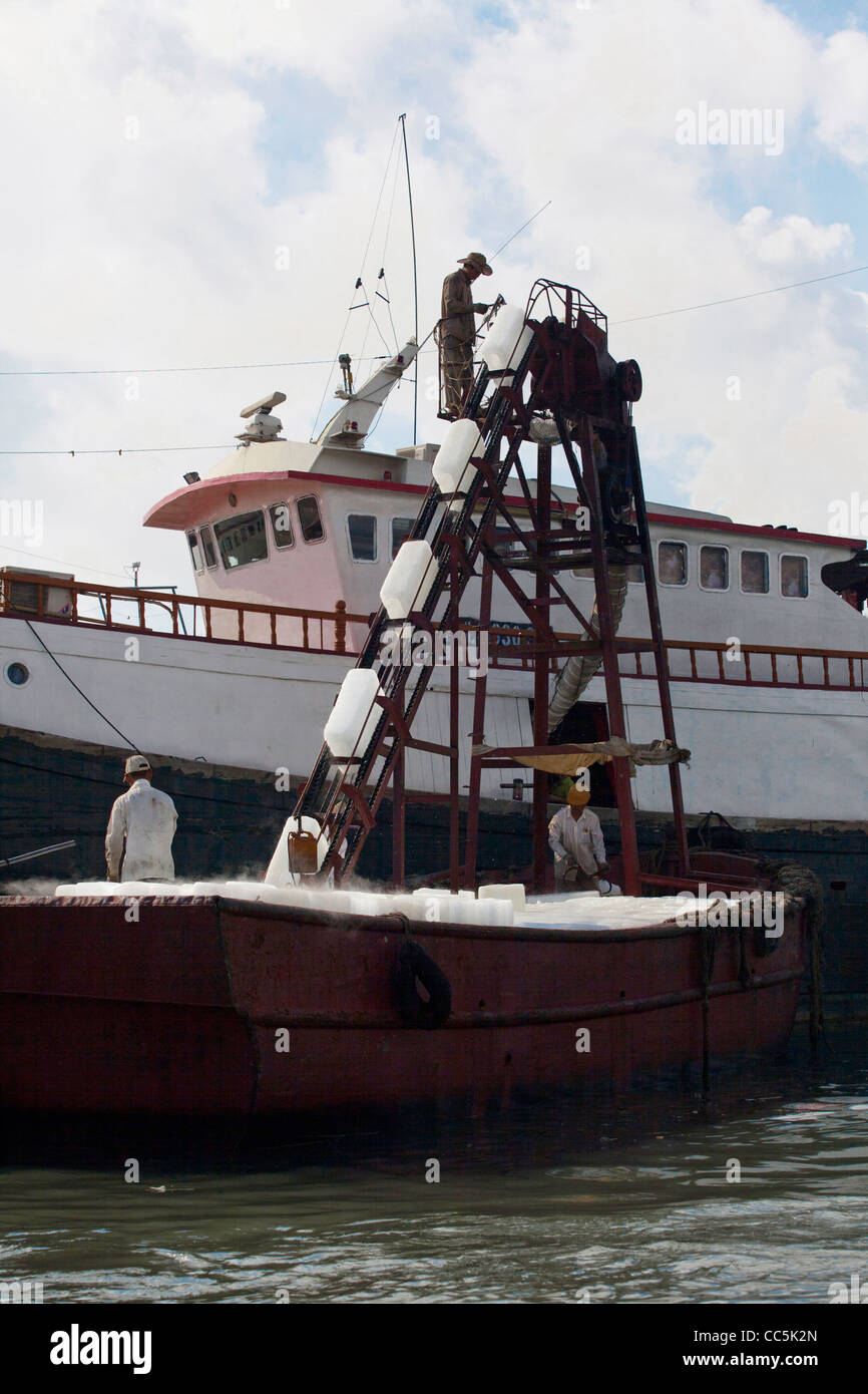 Fishermen carrying ice cubes by a boat, Seafood Market, Beihai, Guangxi ...