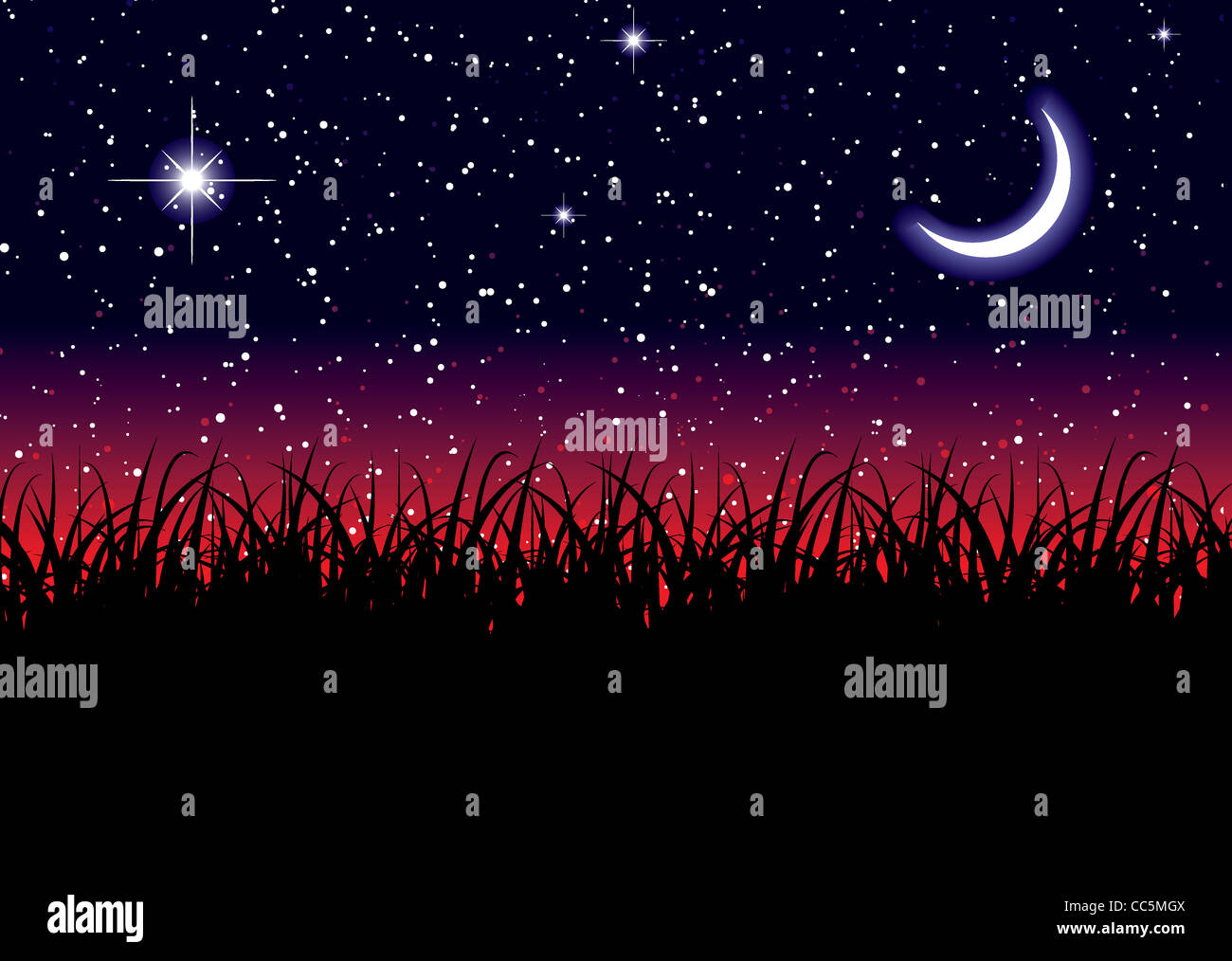 Midnight landscape from field with stella space night sky Stock Photo ...