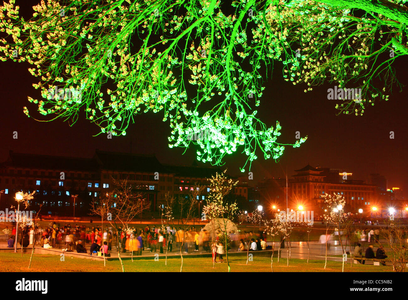 Culture Square at night, Changchun, Jilin , China Stock Photo - Alamy