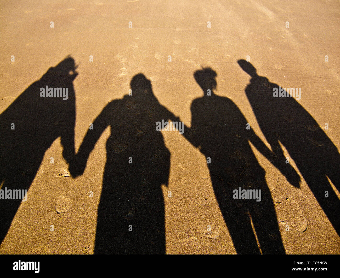 Family holding hands silhouette beach hi-res stock photography and ...