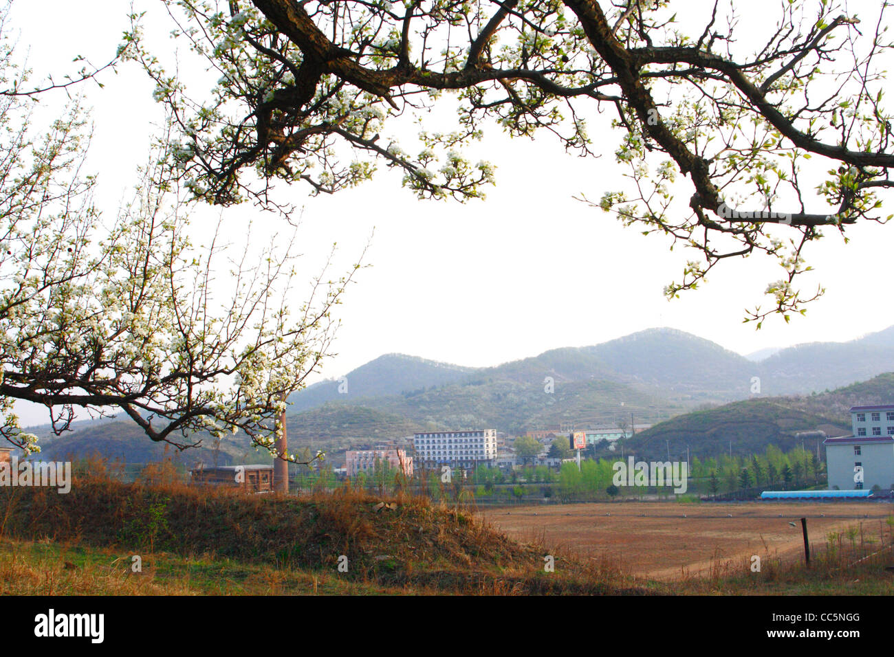 Jilin color hi-res stock photography and images - Alamy
