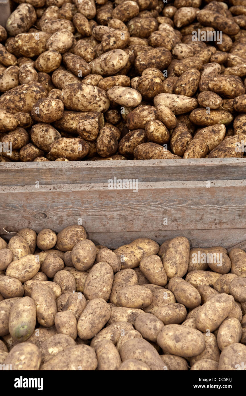Potato storage boxes hi-res stock photography and images - Alamy