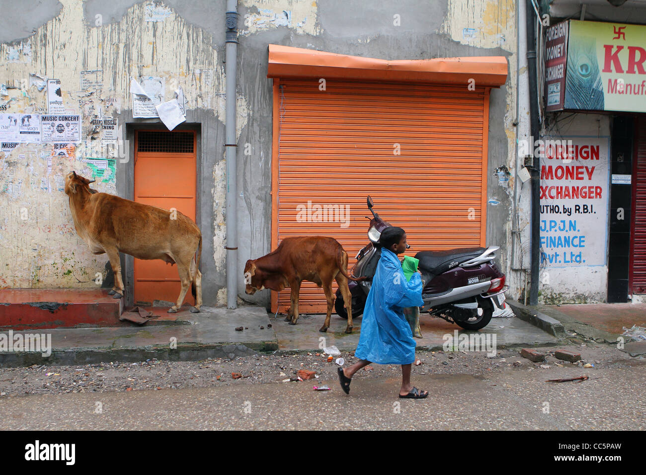 Street scene Rishikesh .India Stock Photo - Alamy