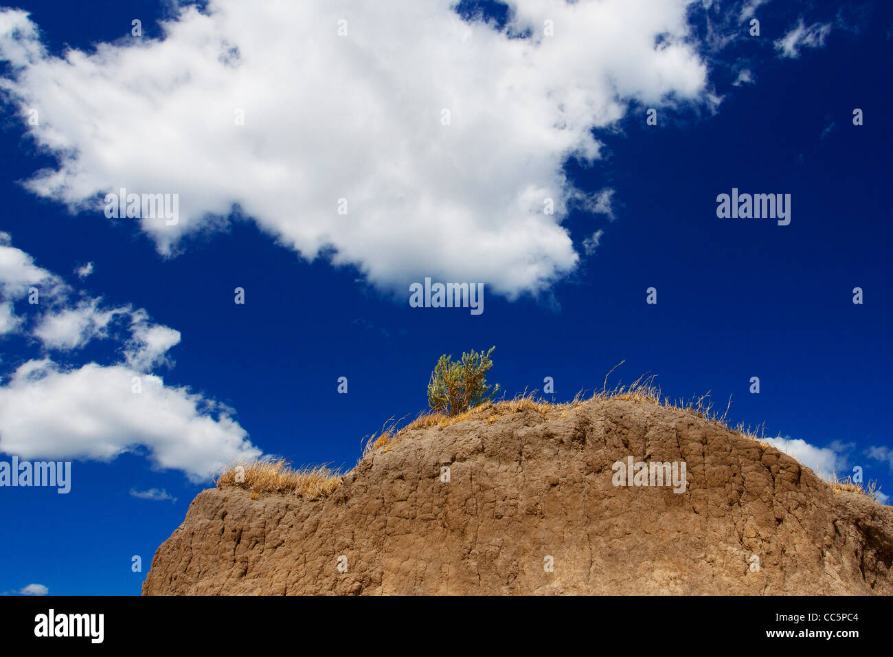 Qian'an Mud Forest National Geopark, Songyuan, Jilin , China Stock ...