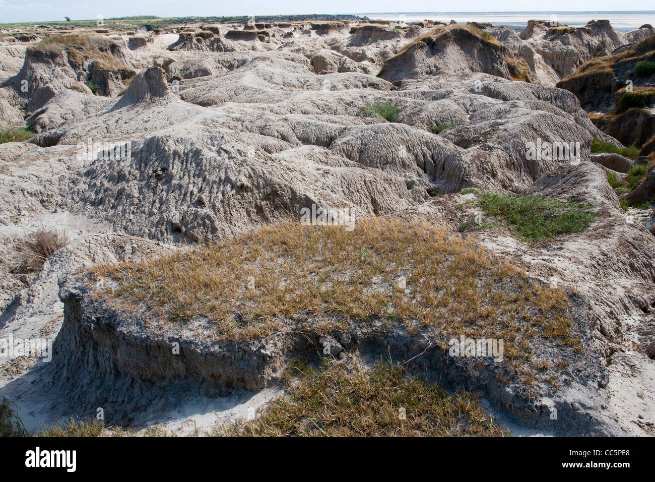 Qian'an Mud Forest National Geopark, Songyuan, Jilin , China Stock ...