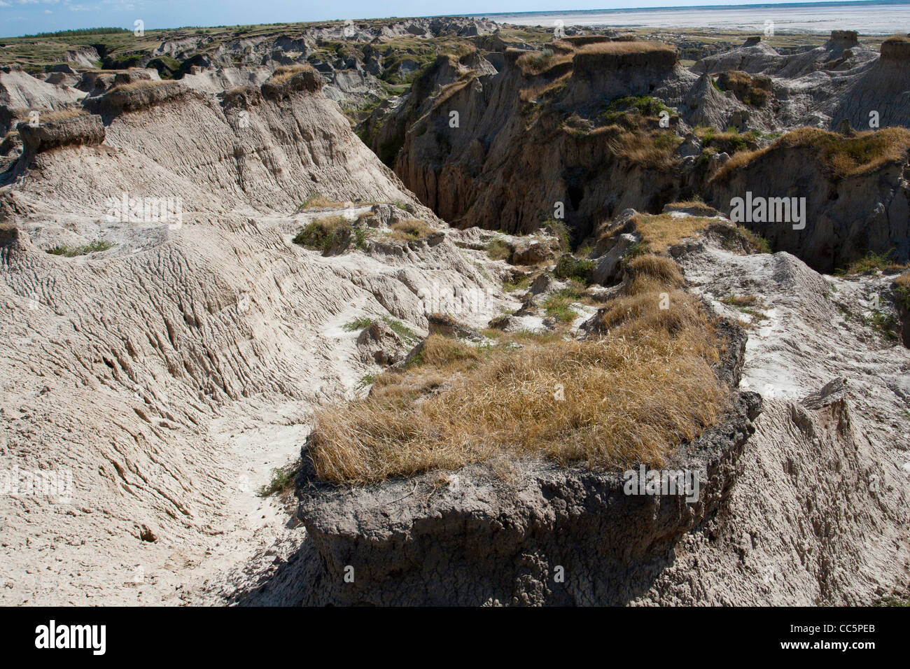 Qian'an Mud Forest National Geopark, Songyuan, Jilin , China Stock ...