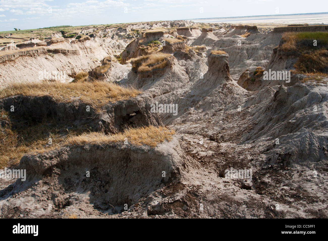 Qian'an Mud Forest National Geopark, Songyuan, Jilin , China Stock ...