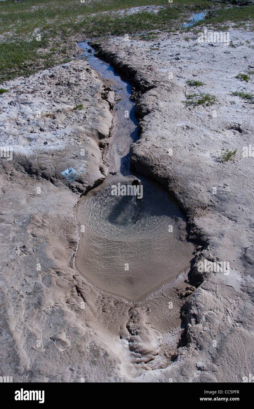 Source of stream, Qian'an Mud Forest National Geopark, Songyuan, Jilin ...