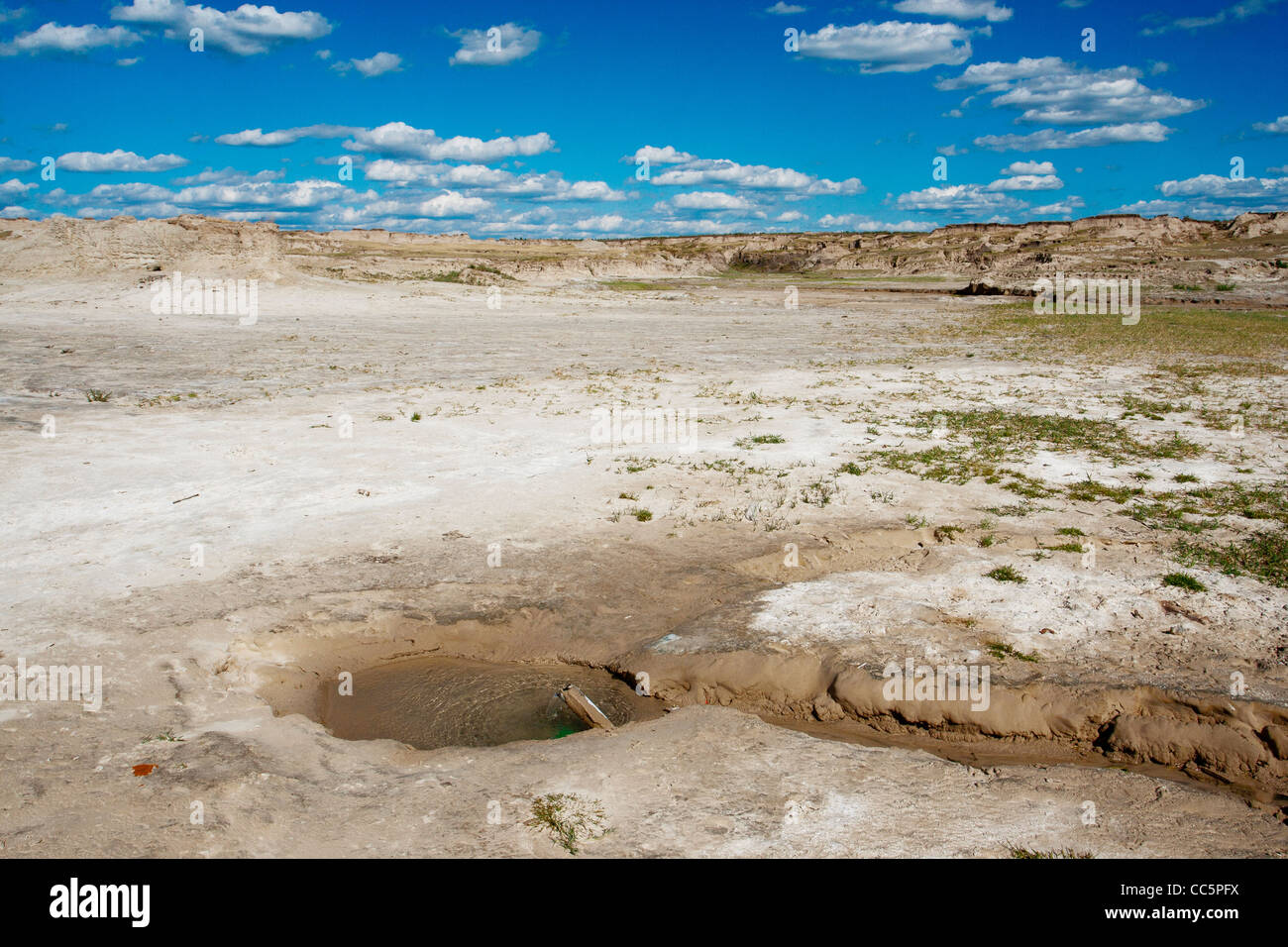 Qian'an Mud Forest National Geopark, Songyuan, Jilin , China Stock ...