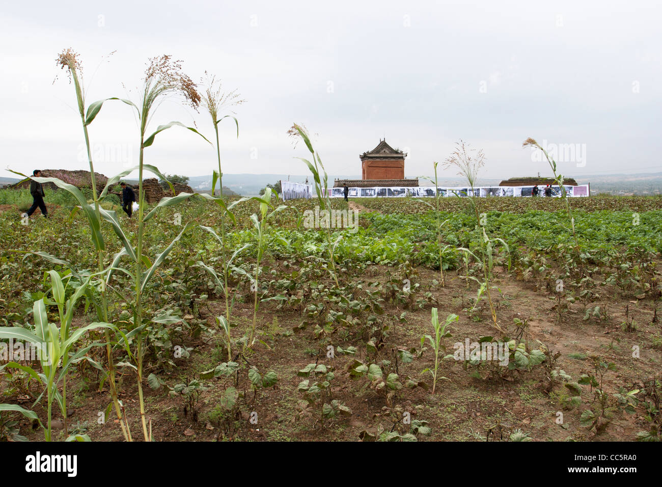 Ancient cultivation hi-res stock photography and images - Alamy