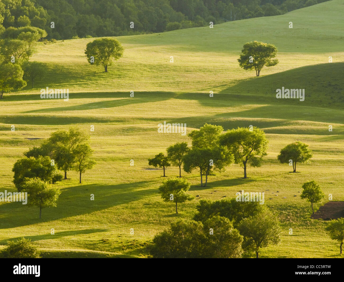 Chengde in hebei bashang grassland hi-res stock photography and images ...