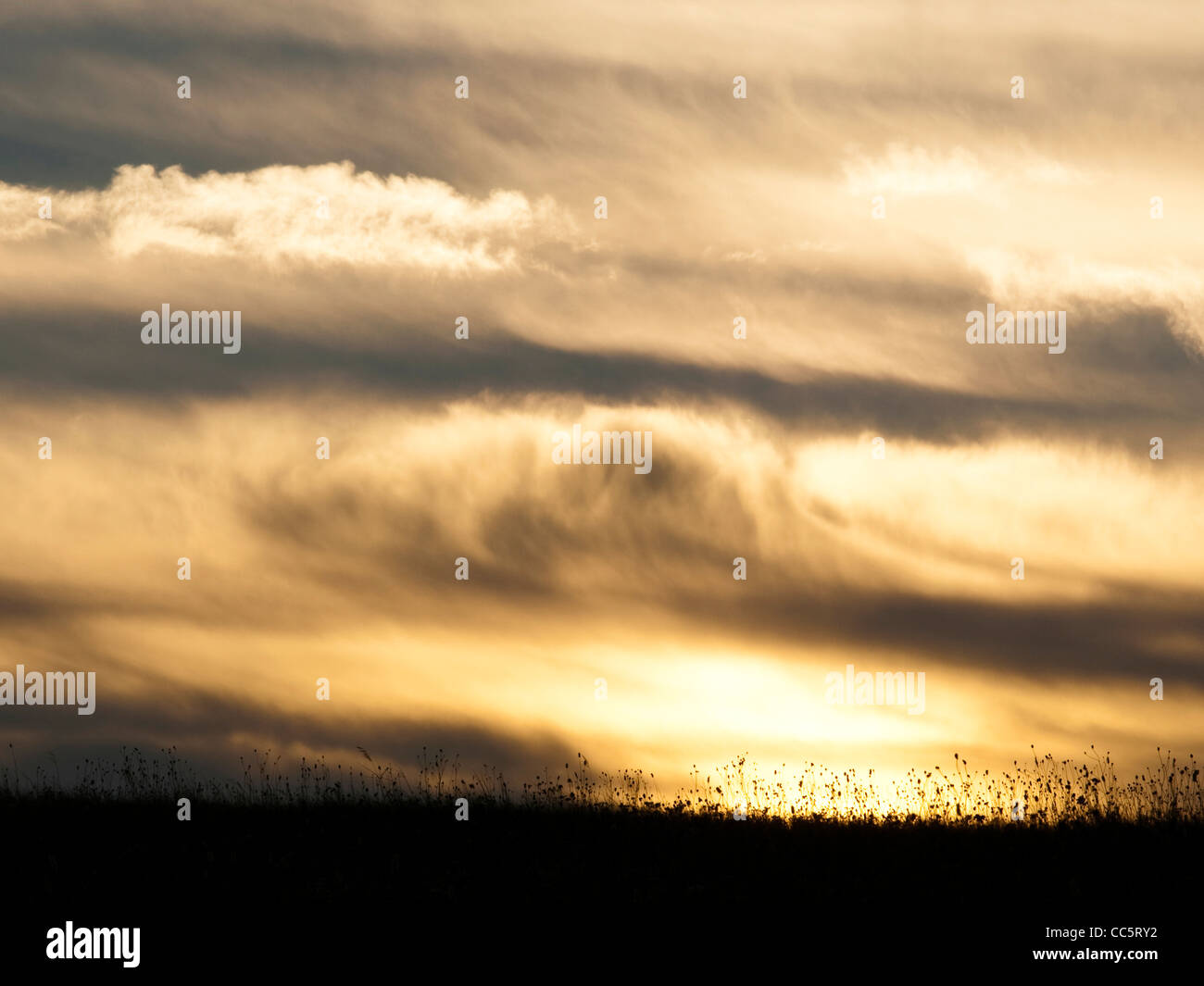 Fengning hi-res stock photography and images - Alamy