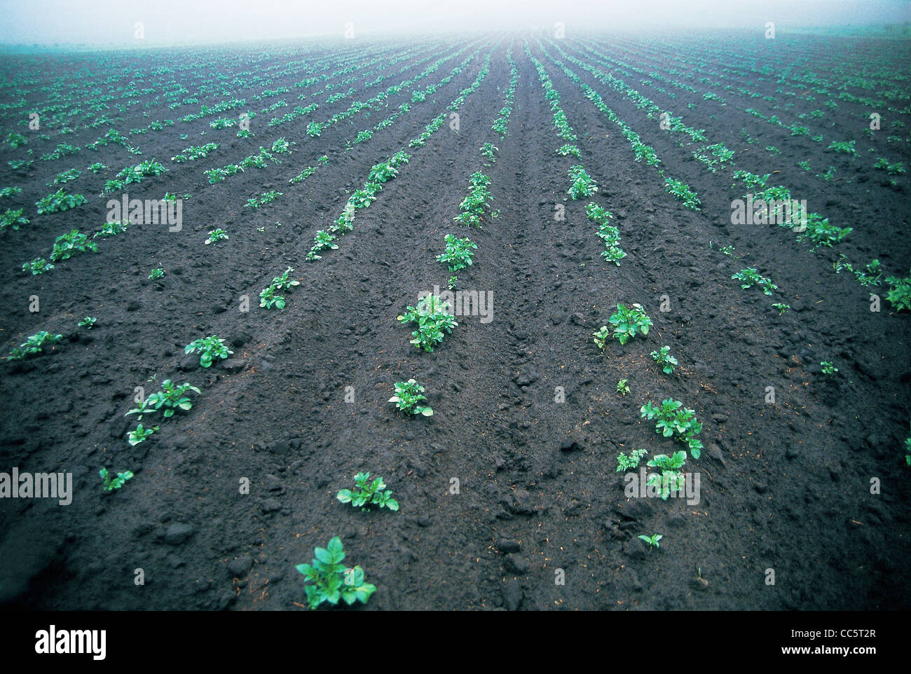 Fengning High Resolution Stock Photography and Images - Alamy