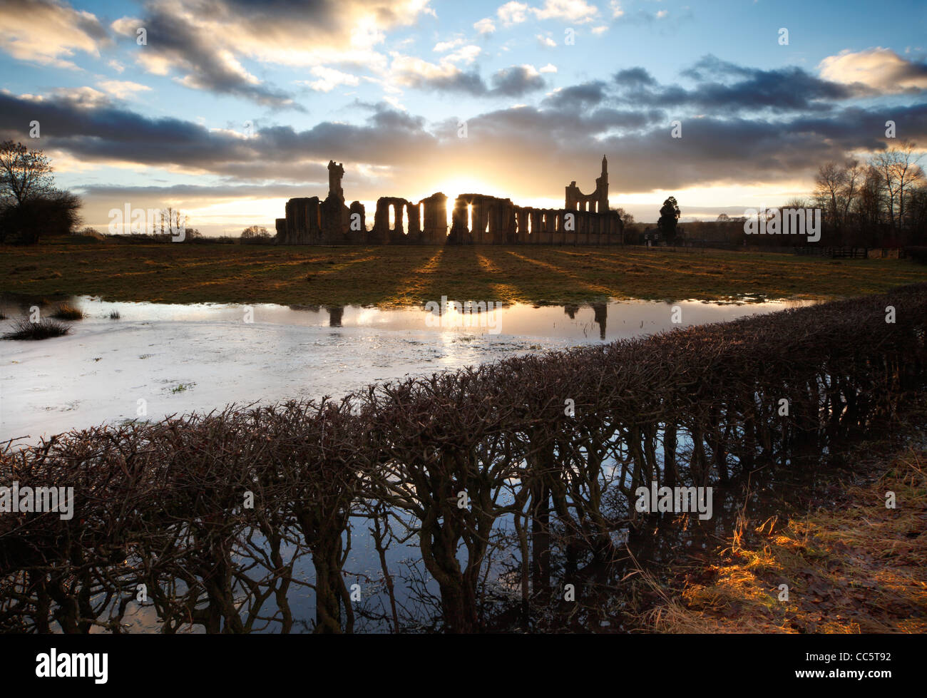Byland abbey coxwold hi-res stock photography and images - Alamy