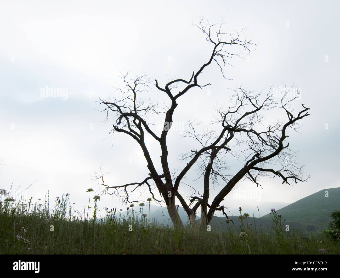 Hexigten global geopark hi-res stock photography and images - Alamy