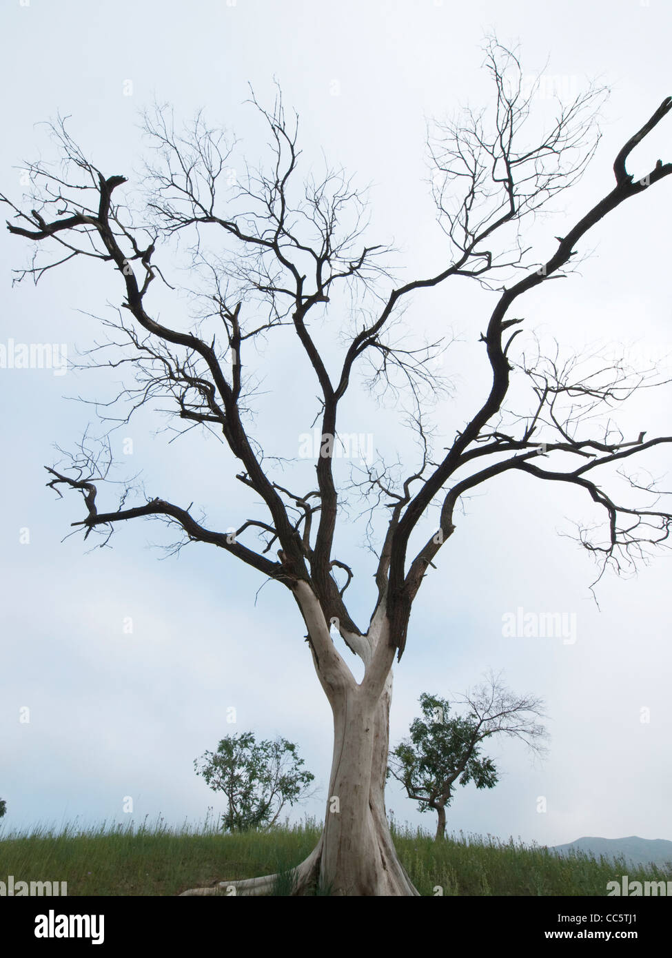 Hexigten global geopark hi-res stock photography and images - Alamy