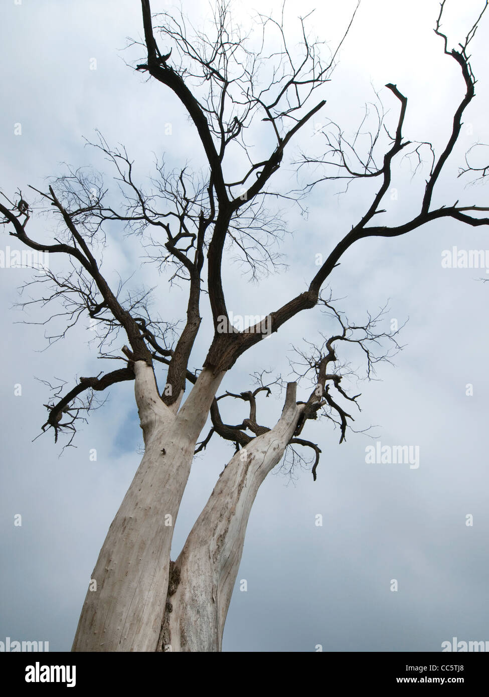 Hexigten global geopark hi-res stock photography and images - Alamy