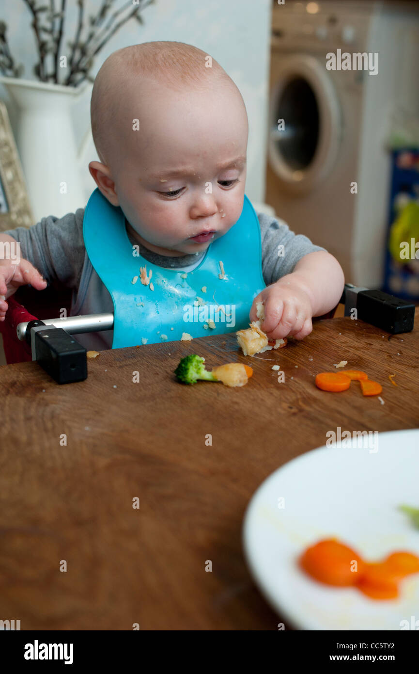 Baby Boy feeding himself Stock Photo - Alamy