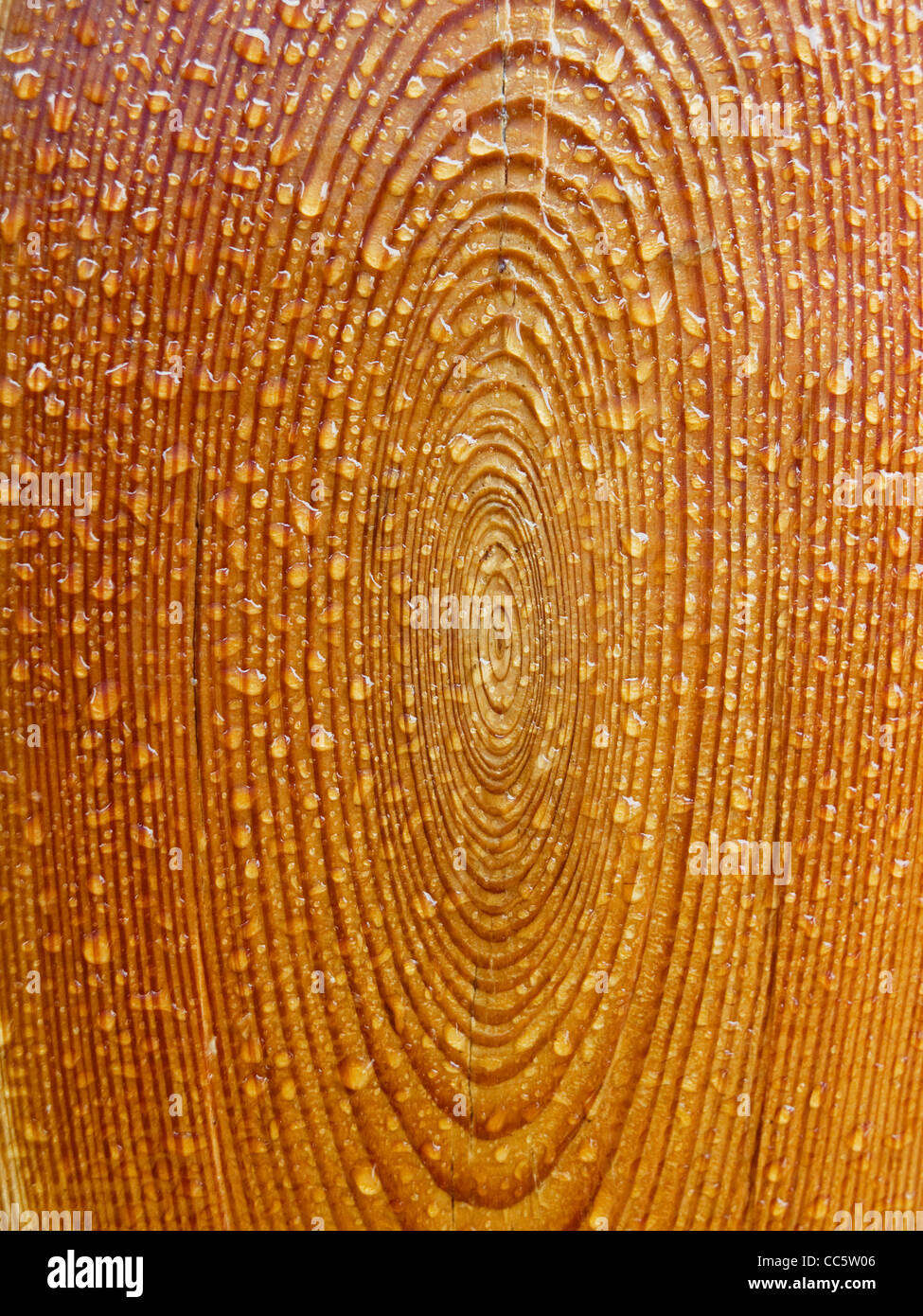 Da ring hi-res stock photography and images - Alamy