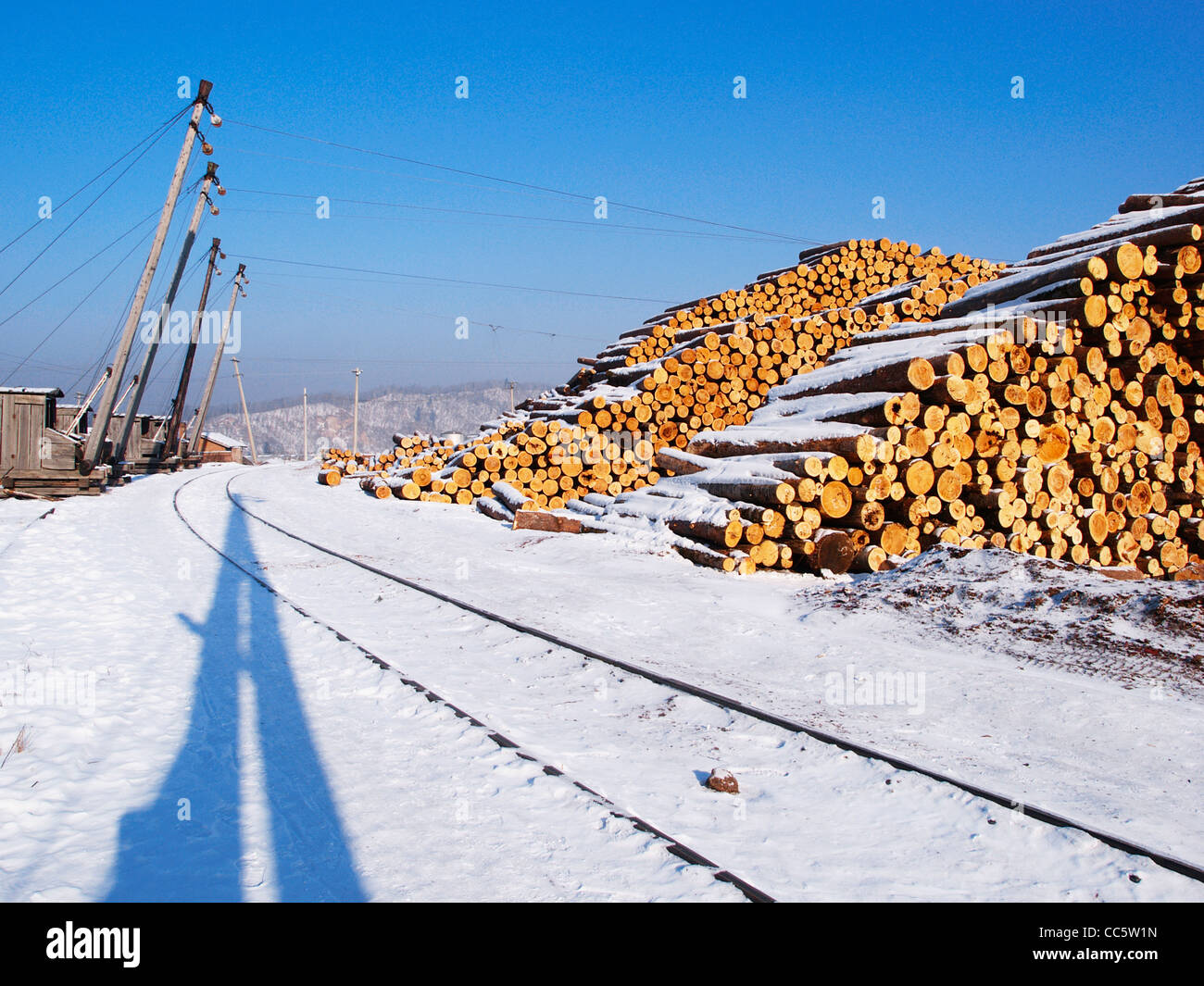 Wood log piles in local forestry farm, Hailin, Mudanjiang, Heilongjiang ...